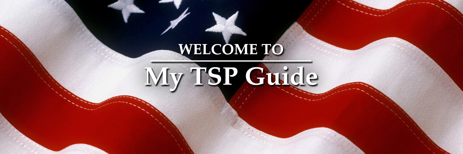 My TSP Guide