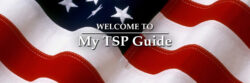About - Five Investment Options TSP - My TSP Guide