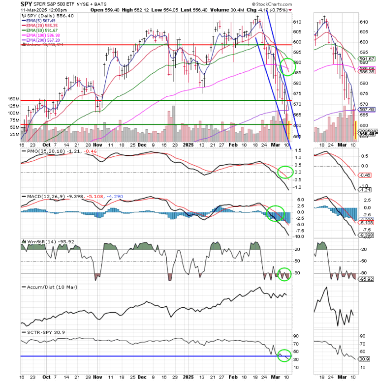 03/11/25 - My TSP Guide